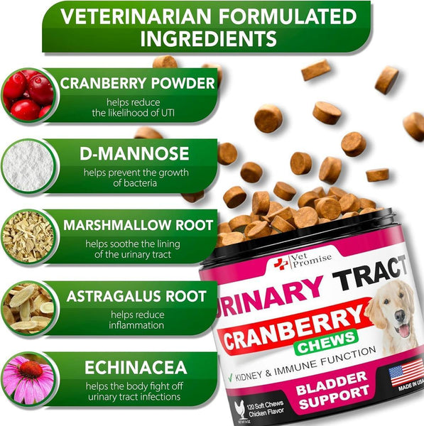 Dog UTI Treatment Cranberry Supplement for Dogs UTI Bladder Control 12 ...